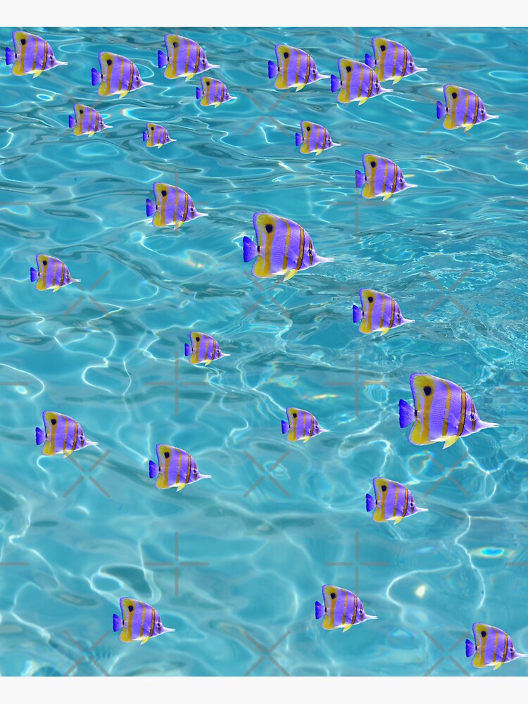 "One Direction Fish" Sticker for Sale by loganferret | Redbubble