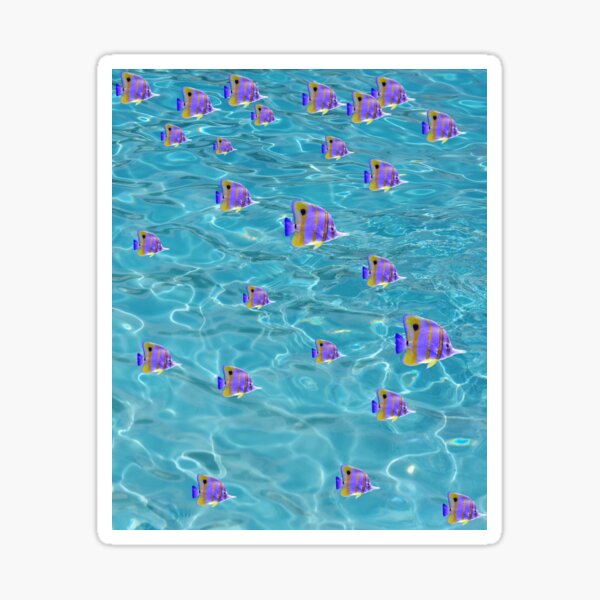 "One Direction Fish" Sticker for Sale by loganferret | Redbubble