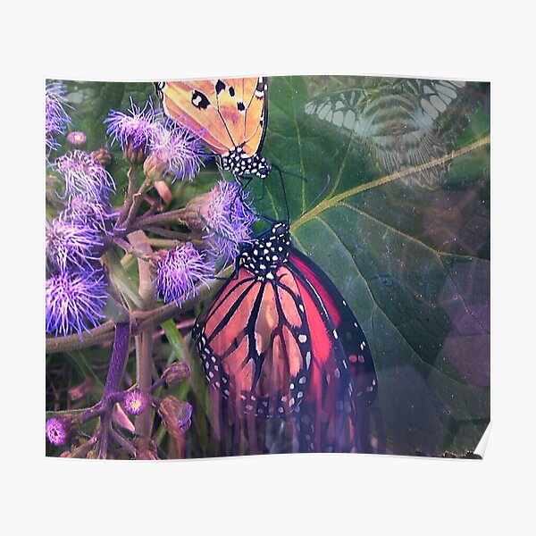 "Melting butterflies " Poster by KesiaHosking | Redbubble