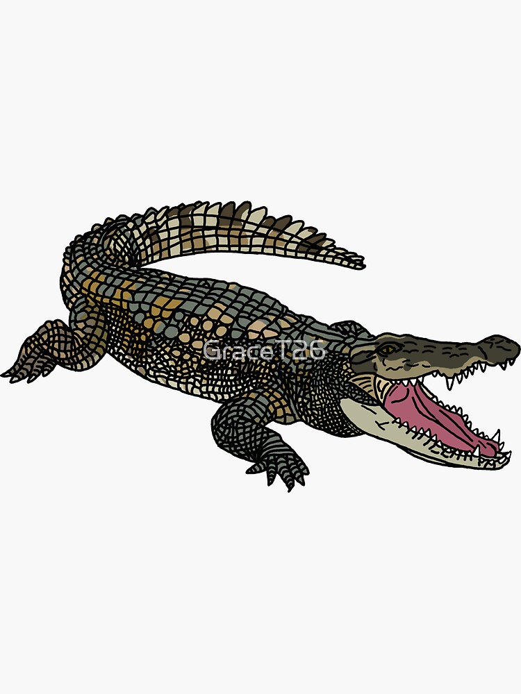 "American Alligator" Sticker by GraceT26 | Redbubble