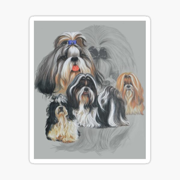 "Shih Tzu Revamp" Sticker for Sale by BarbBarcikKeith | Redbubble