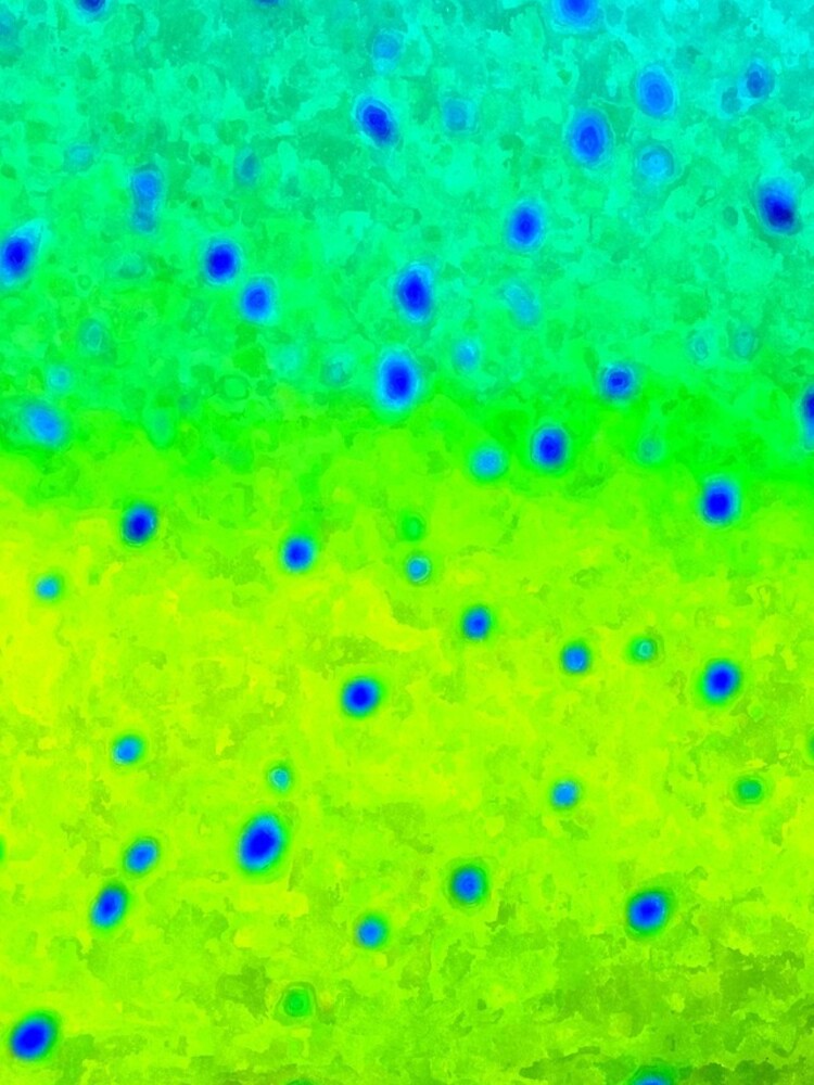 "Mahi Mahi Skin" iPhone Case for Sale by jenncapo | Redbubble