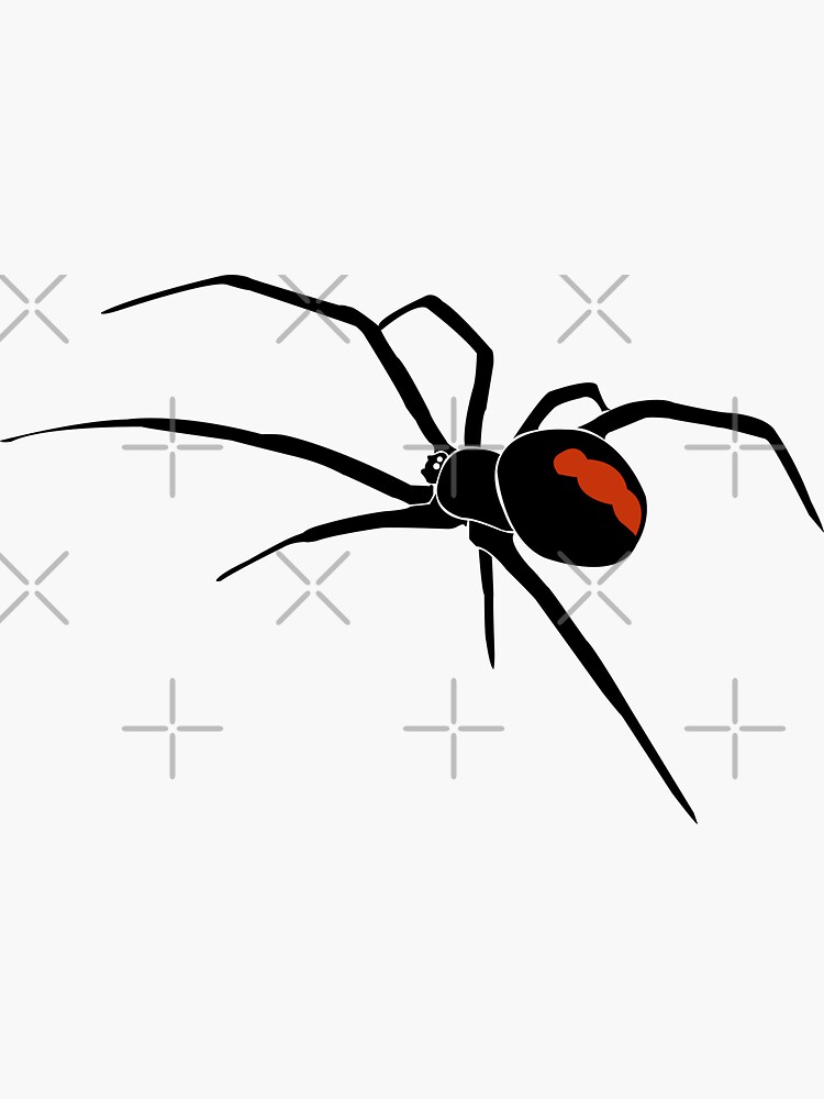 "The Redback Spider" Sticker by LostPerth | Redbubble
