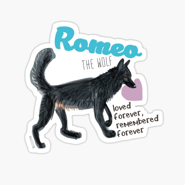 "Romeo the wolf" Sticker by belettelepink | Redbubble