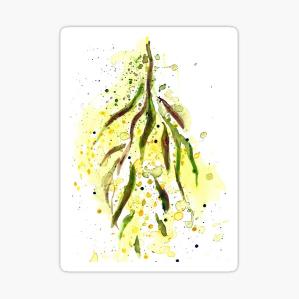 "Wattle" Sticker for Sale by Isobel Baker | Redbubble