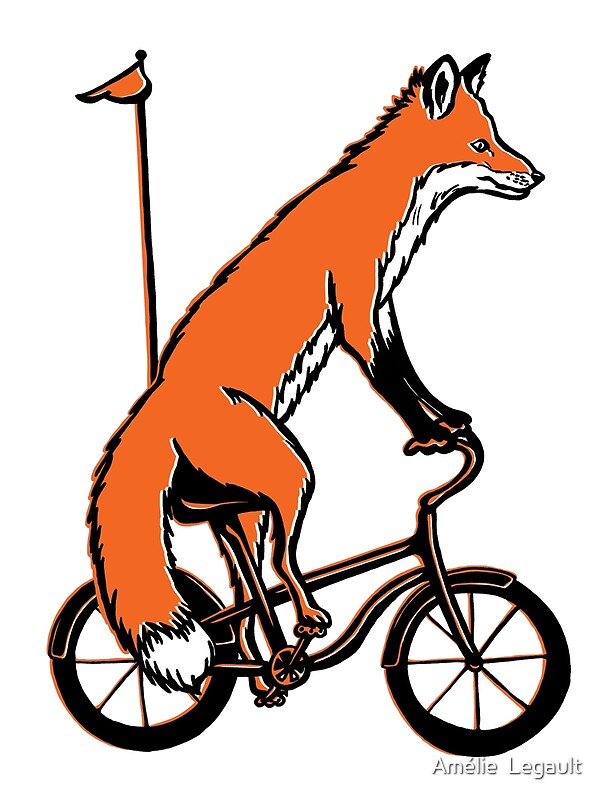 "Fox on bike" by Amélie Legault | Redbubble