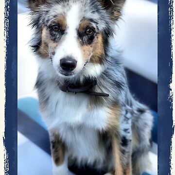 "bEbE bLU" Sticker for Sale by gymmybob | Redbubble