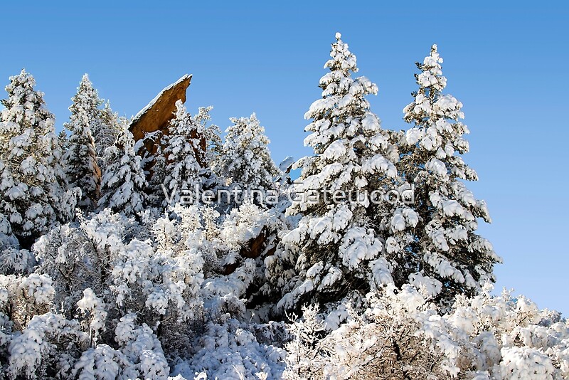 "Snowy Monday Morning" by Valentina Gatewood | Redbubble