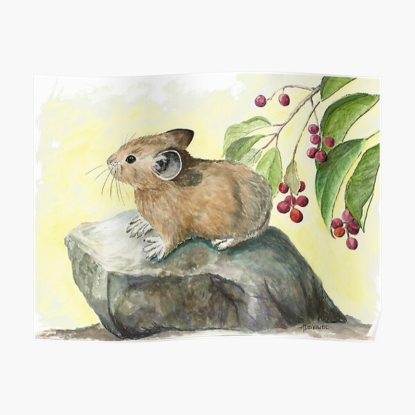 "Pika of the Rock" Poster by adziegiel | Redbubble