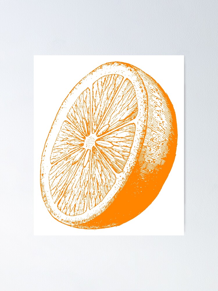 "Big Orange Mono Color Line Art " Poster by mousung | Redbubble