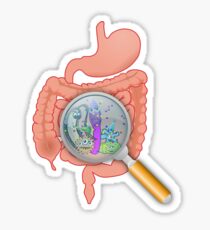 Large Intestines Stickers | Redbubble
