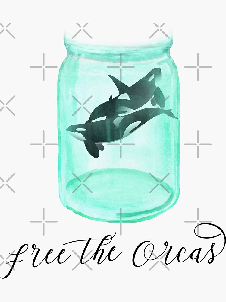 "Free The Orcas - Empty the Tanks - End Captivity For Killer Whales ...
