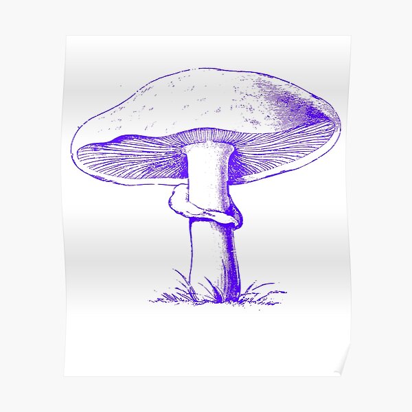 "Mushroom Mono Color Line Art" Poster by mousung | Redbubble