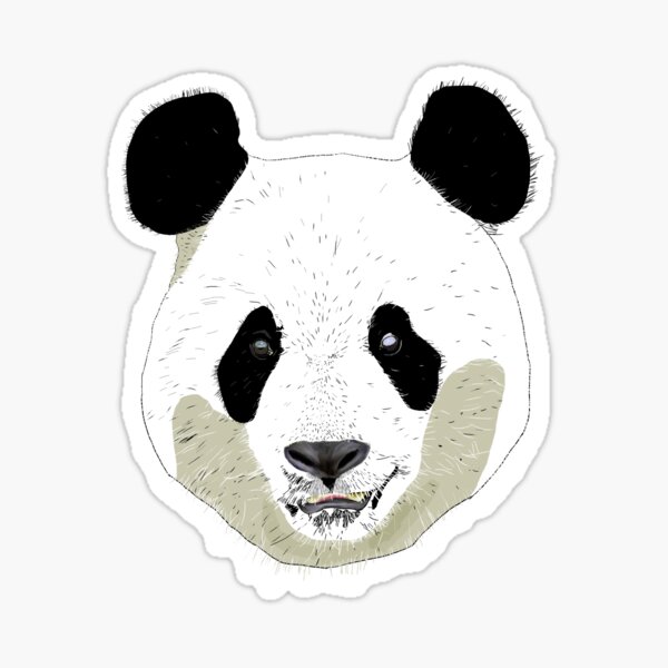 "Panda drawing" Sticker for Sale by -Ovis | Redbubble