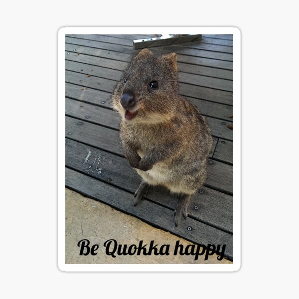 "Be Quokka happy" Sticker by sword-snobby | Redbubble
