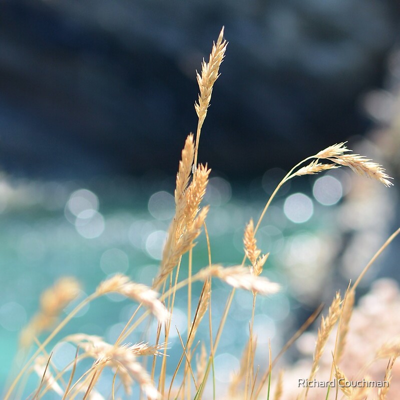 "" Ocean Blue "" by Richard Couchman | Redbubble