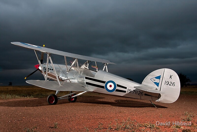 "1931 Hawker Fury Bi Plane 2" by David Hibberd | Redbubble