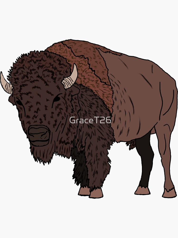 "American Bison" Sticker by GraceT26 | Redbubble