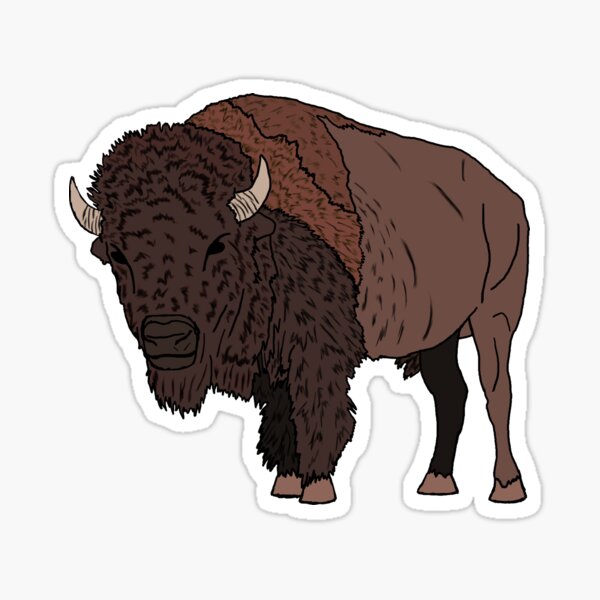 Bison Stickers | Redbubble