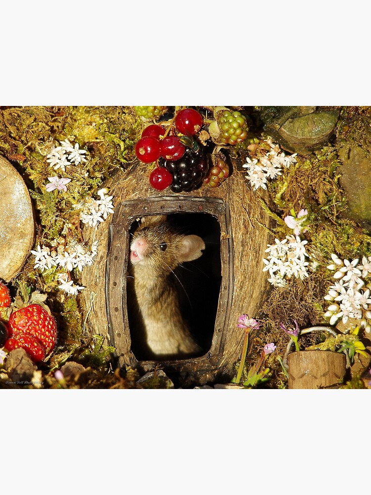 "George the mouse in a log pile house " Art Print for Sale by Simon ...
