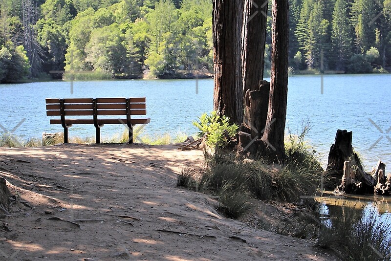 "Lakeside Seating" by Martha Sherman | Redbubble