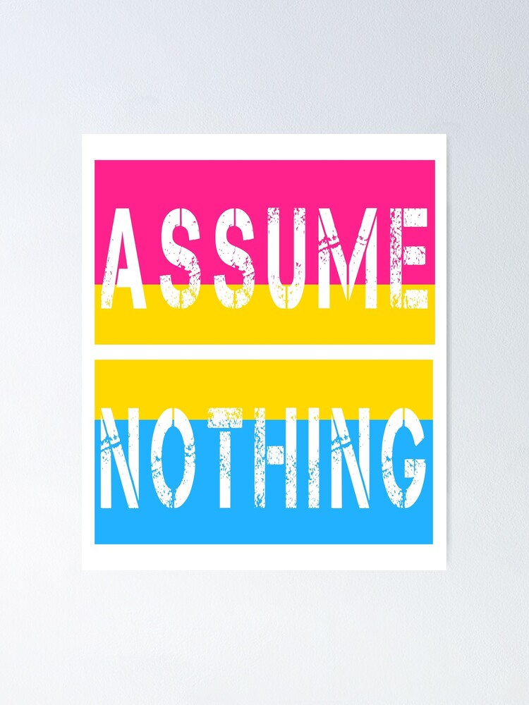 "Pansexual Pride Flag Assume Nothing Pan Awareness" Poster by cnkna ...