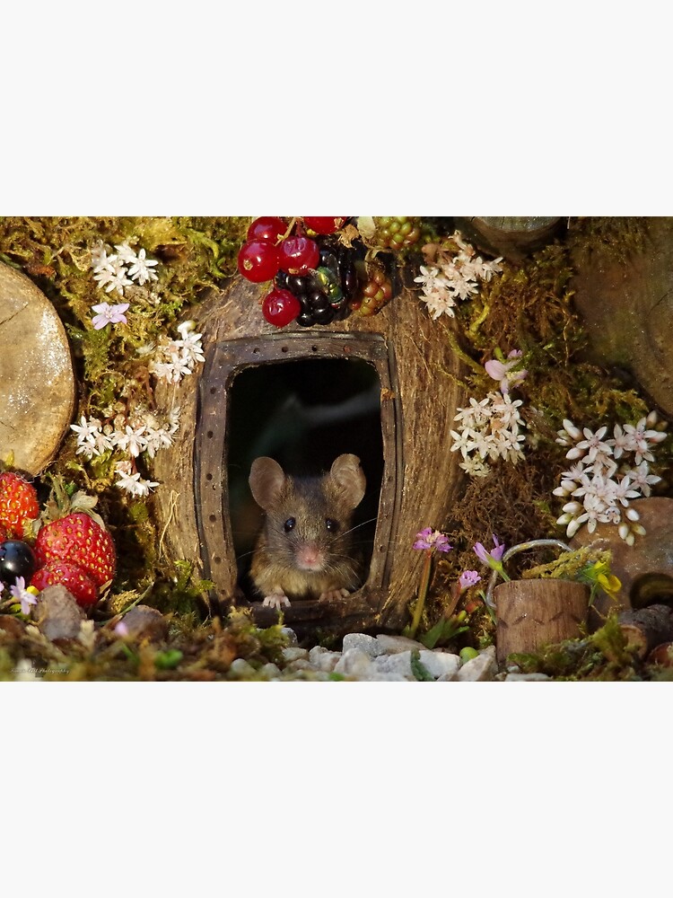 "George the mouse in a log pile house" Art Print by Simon-dell | Redbubble