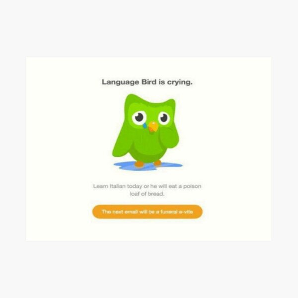 "Duolingo Owl Meme " Art Print by silverlake101 | Redbubble