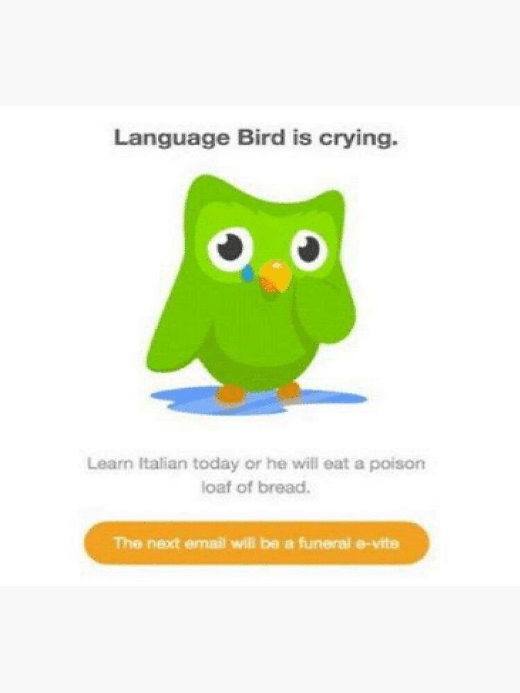 "Duolingo Owl Meme " Art Print by silverlake101 | Redbubble