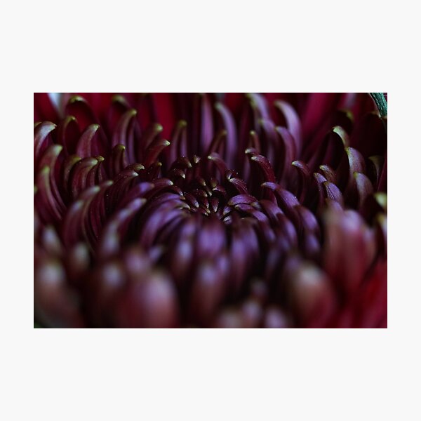 Folding Flower Merch & Gifts for Sale | Redbubble