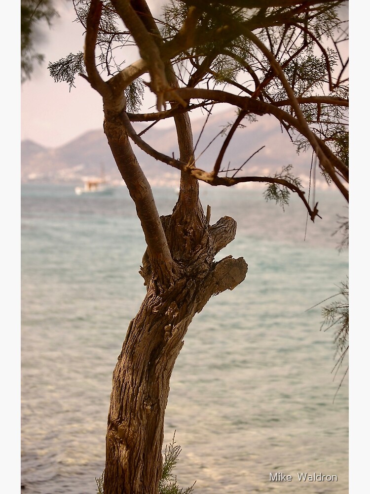 "Tamarisk on Spinalonga off Mainland Crete" Art Print for Sale by ...