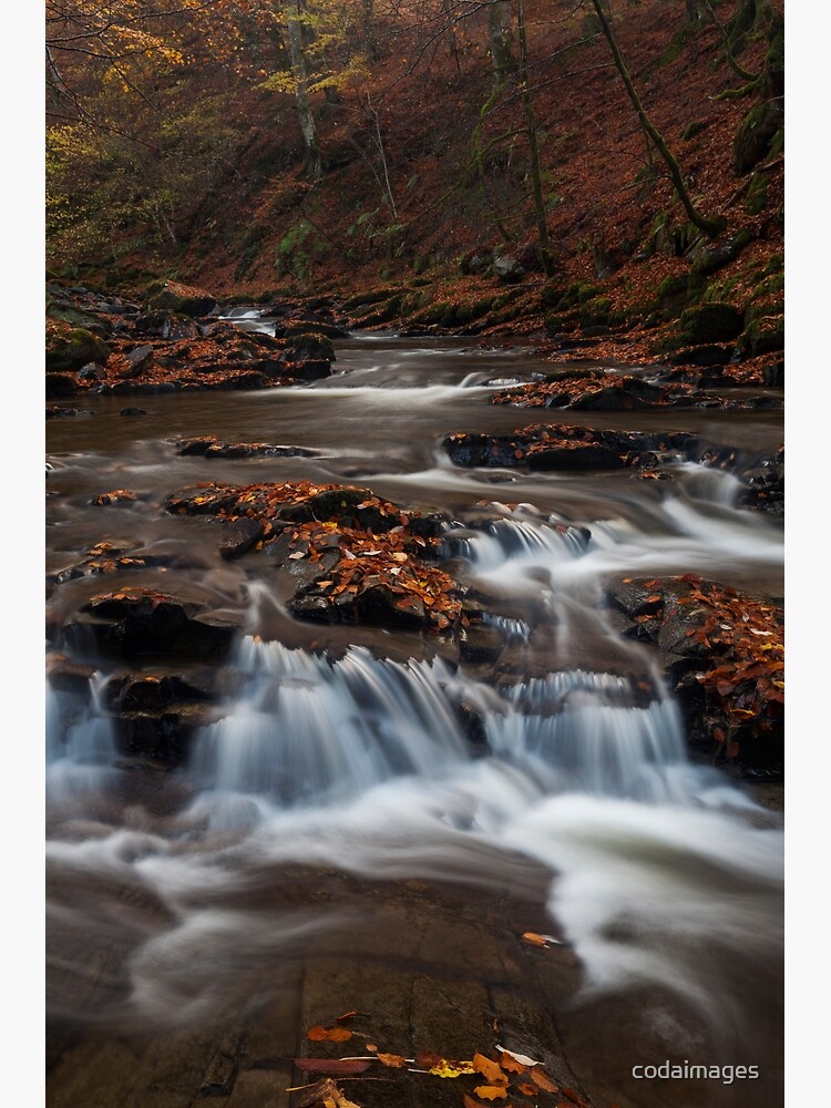 "moness burn, aberfeldy" Photographic Print for Sale by codaimages ...