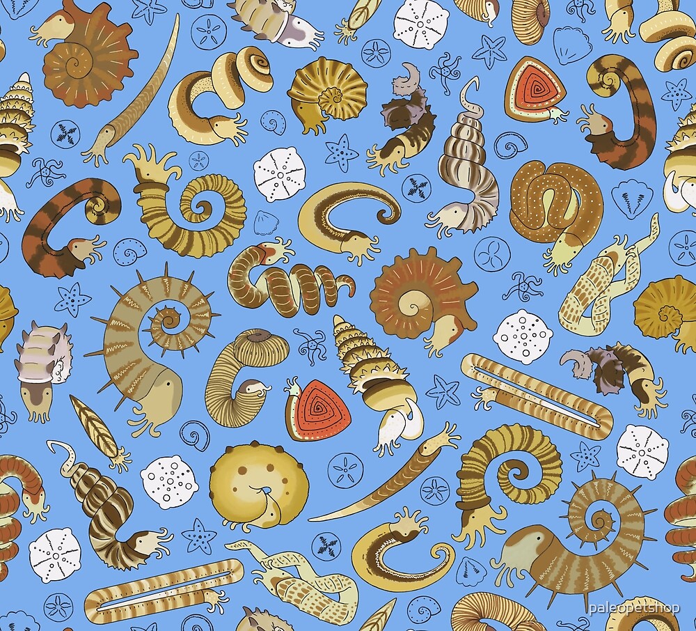 "Ammonite pattern" by paleopetshop | Redbubble
