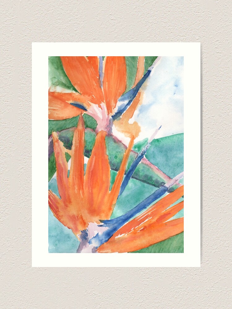 "Strelitzia" Art Print for Sale by Artoutloop | Redbubble