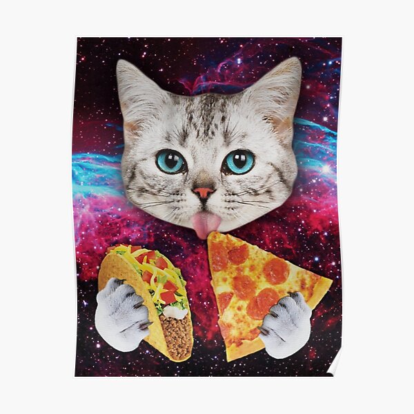 "Taco Cat in Space" Poster for Sale by Linksadventure | Redbubble