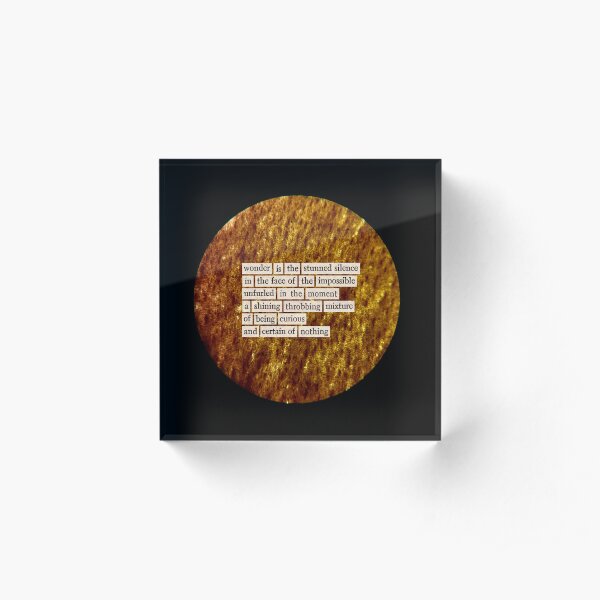 "Little Free Library Divination # 8" Acrylic Block for Sale by ...