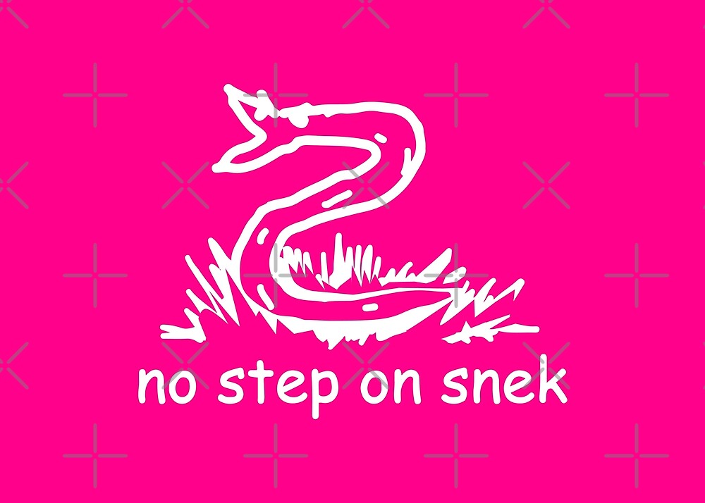 "No Step on Snek Magenta Pink and white modern flag Don't tread on me ...