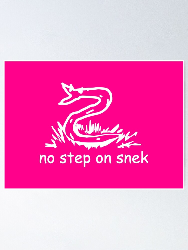 "No Step on Snek Magenta Pink and white modern flag Don't tread on me ...