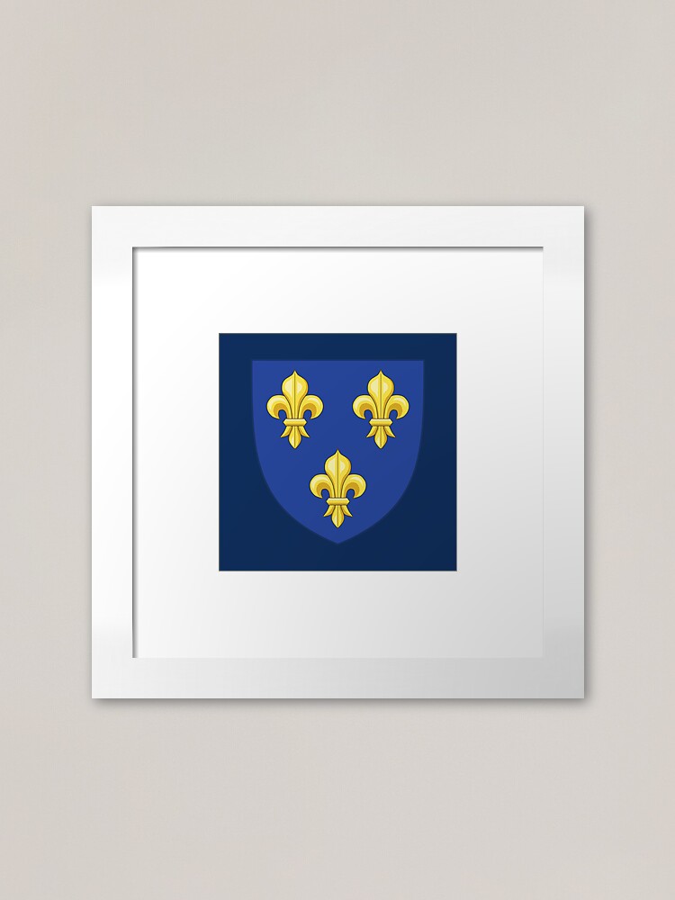 "Blason France moderne French royal golden yellow fleur de lys lis blue ...