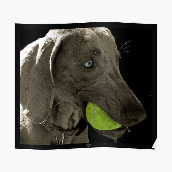 "Nuski" Poster by Shayropay | Redbubble