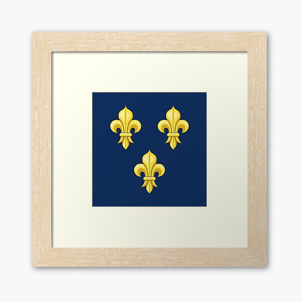 "Blason France moderne French royal golden yellow fleur de lys lis blue ...