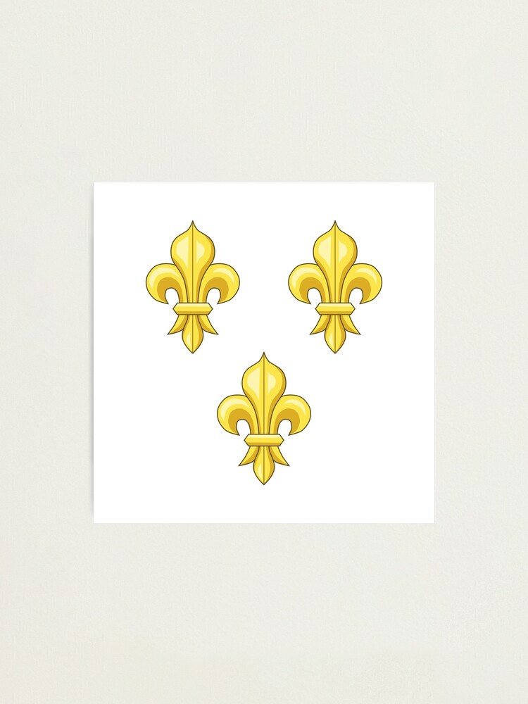 "Blason France moderne French royal golden yellow fleur de lys lis blue ...