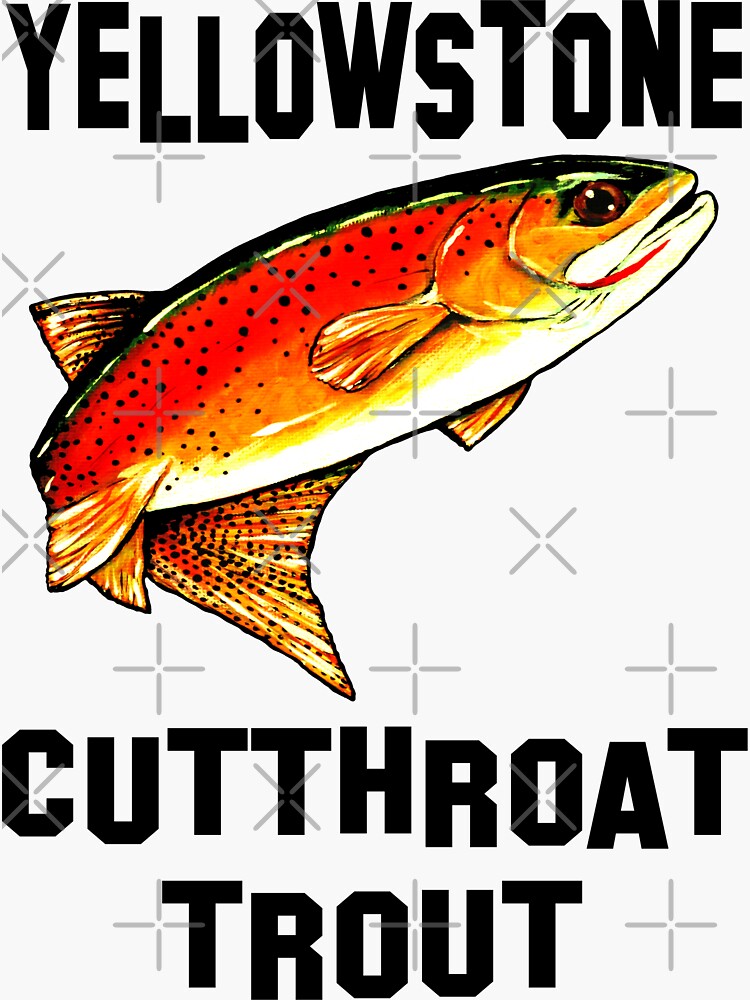 "Yellowstone Cutthroat Trout Fish Fishing Fly Sports Sportsman Rocky ...