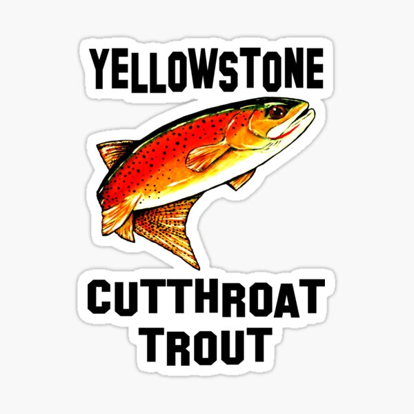 "Yellowstone Cutthroat Trout Fish Fishing Fly Sports Sportsman Rocky ...