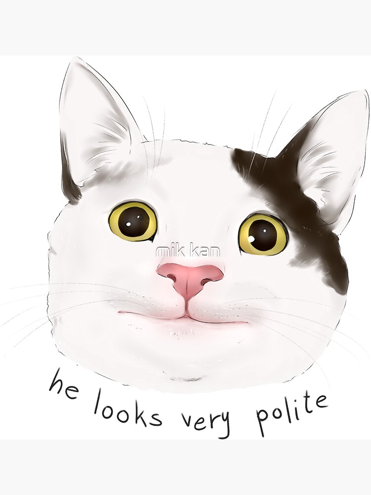 "He looks very polite - Polite Cat Meme / Catto Dank Meme " Magnet for Sale by sassylin | Redbubble