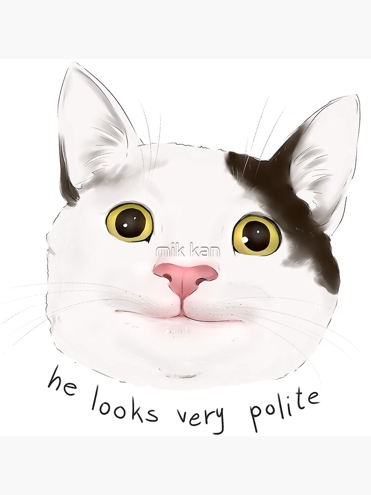He Looks Very Polite - Polite Cat Meme / Catto Dank Meme Premium Matte ...