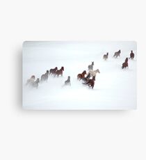 Metal Prints | Redbubble