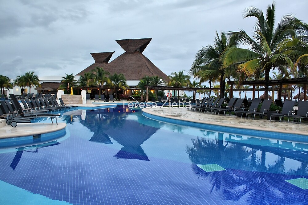 "Early Morning Pool View" by Teresa Zieba | Redbubble