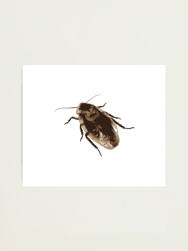 Lámina fotográfica «Divertida broma real de cucaracha fea en niñas y ...
