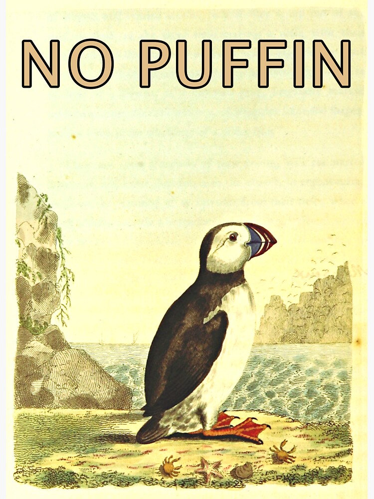 "No Puffin No Smoking" Sticker by Artistfun | Redbubble